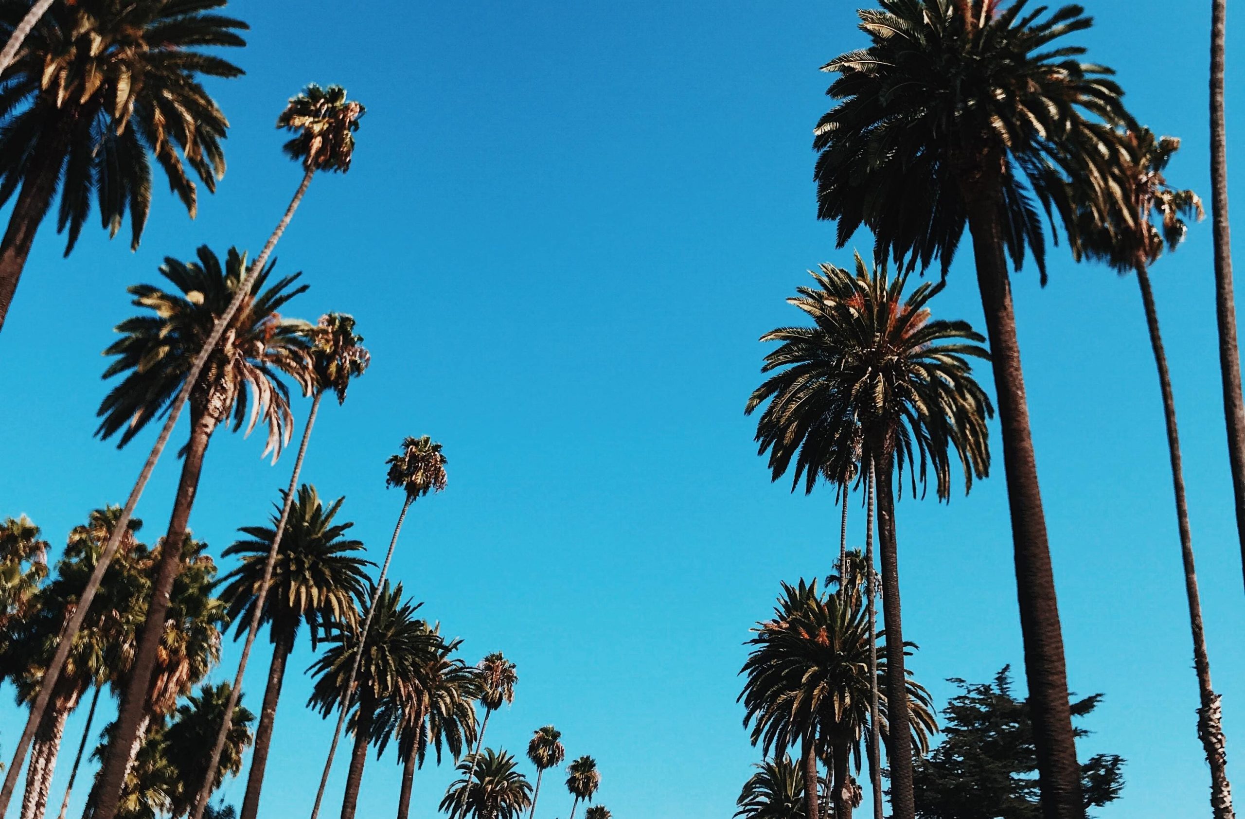 "3Times" veröffentlicht: "California Drip 140.00 bpm"